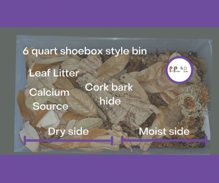 Millipede and Isopod Care Sheet – Pet Pedes and Pods